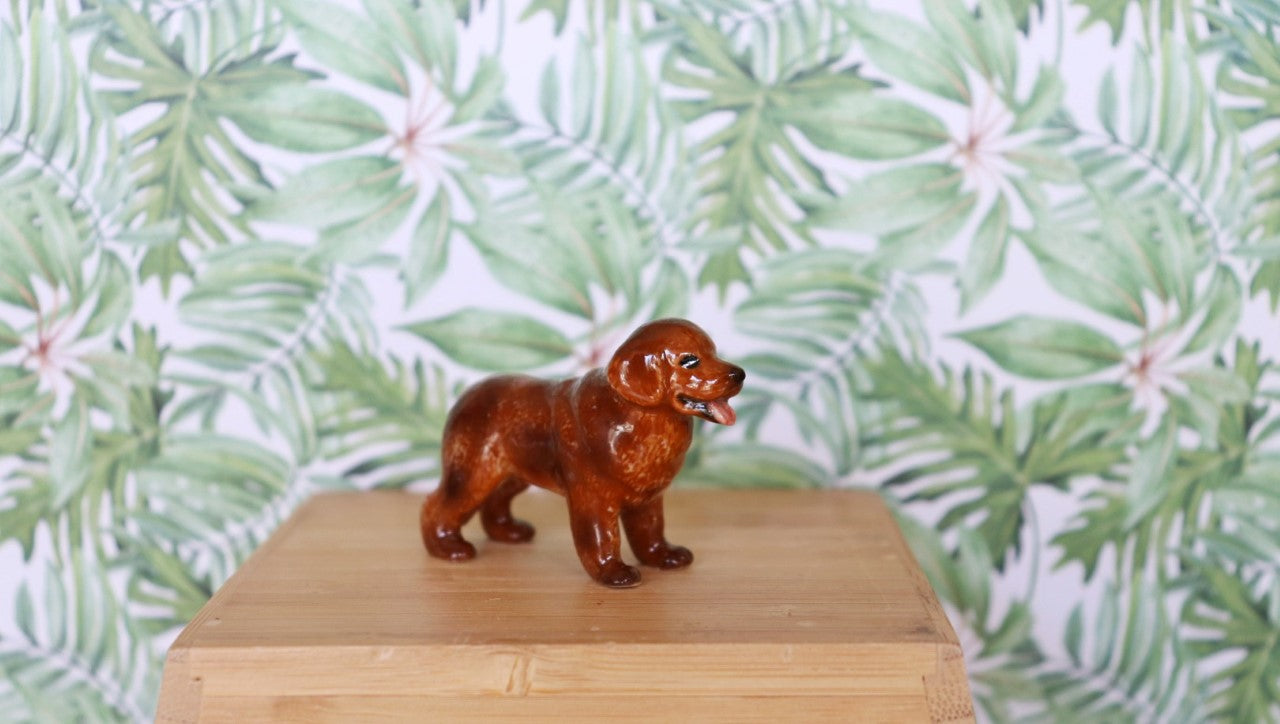 Ceramic Dog Newfoundland – Childplay Melbourne