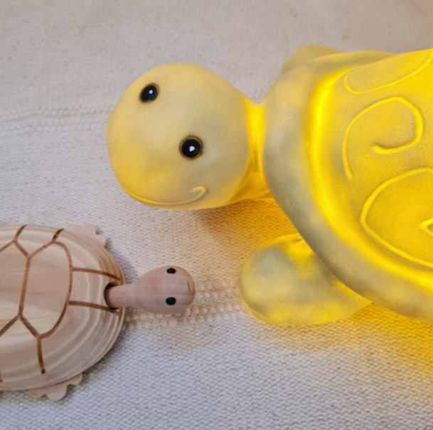 Childrens Night Lights | Heico Turtle Plug In LED Nightlight ...