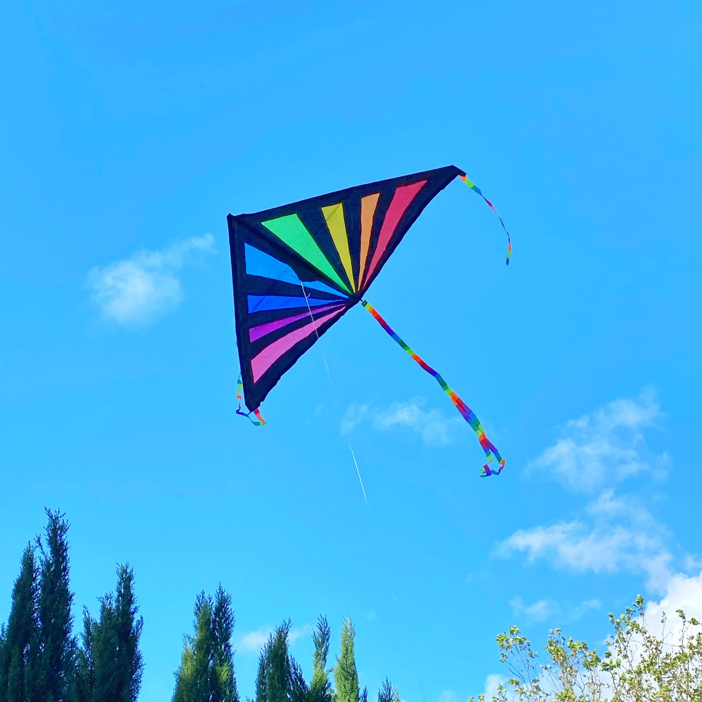 Windspeed Kites - Sunrise Delta – Childplay Melbourne