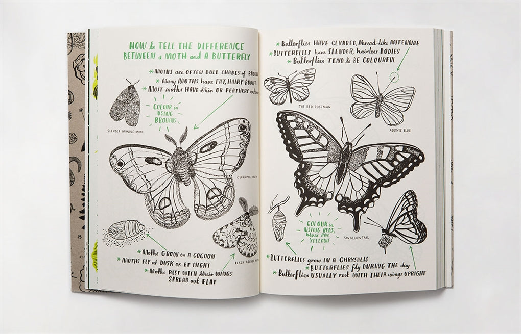 Hello Nature Activity Book – Childplay Melbourne