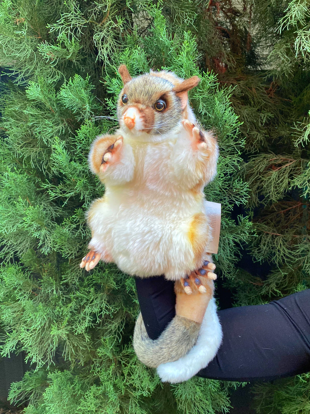 Hansa -Brush Tail Possum Puppet – Childplay Melbourne